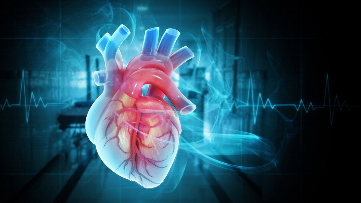 Lab-grown, “living” heart tissues: a major breakthrough - UdeMnouvelles