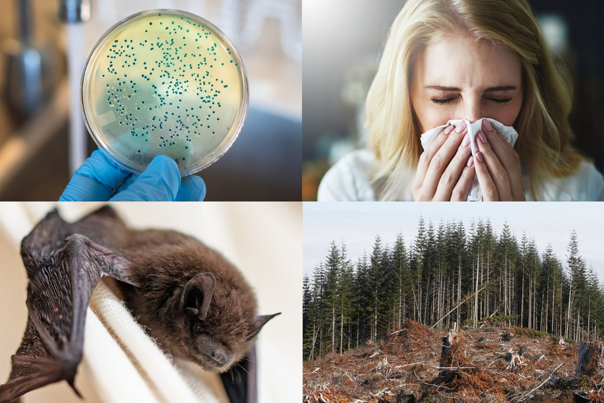 Understanding pathogens and parasites – and the future of the planet ...
