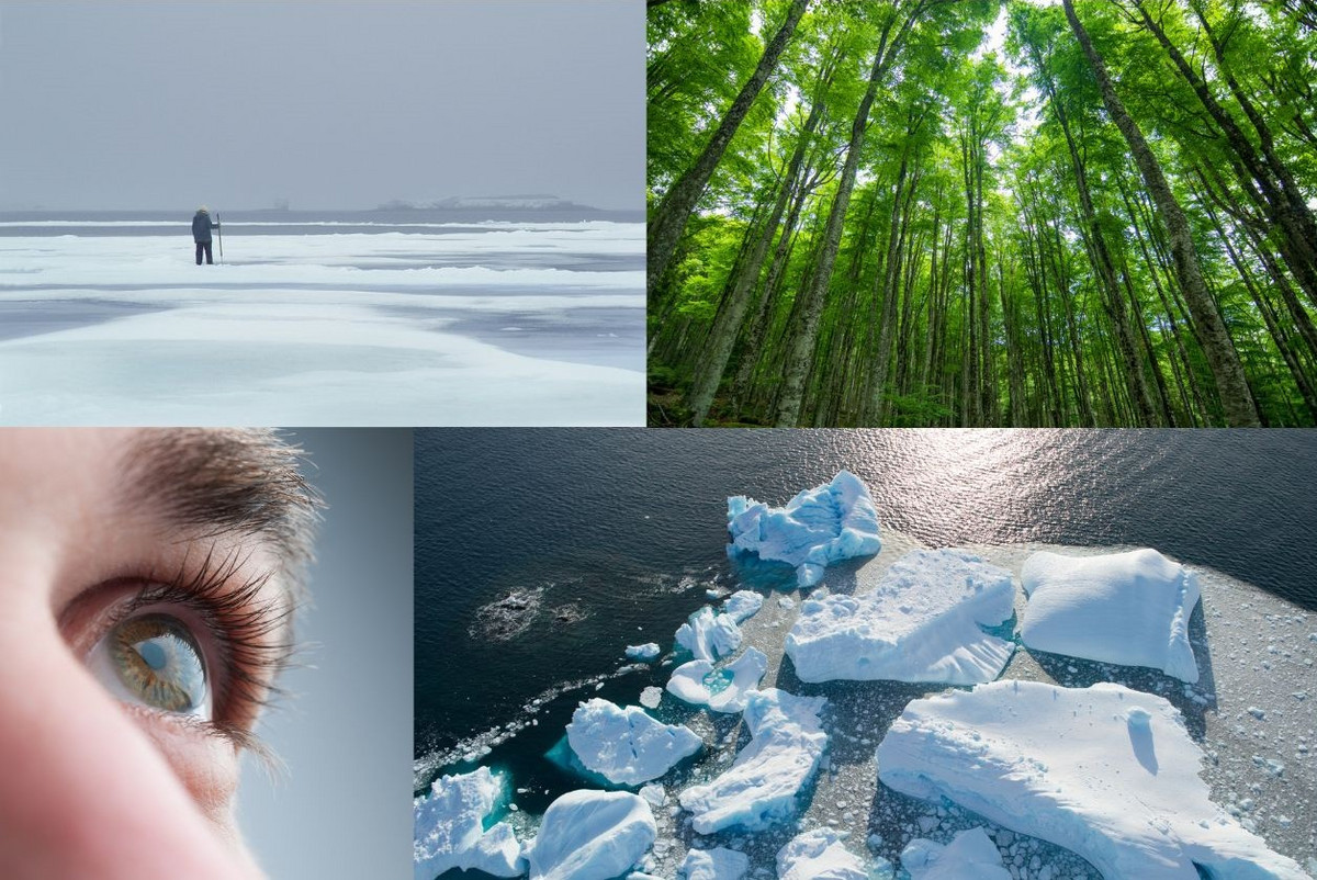 L’art inuit pour sensibiliser au réchauffement climatique - UdeMnouvelles