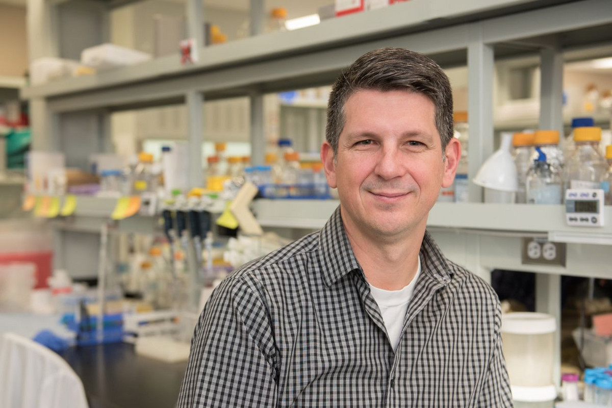 Michel Cayouette est lauréat d’un prix Reconnaissance en recherche de l ...