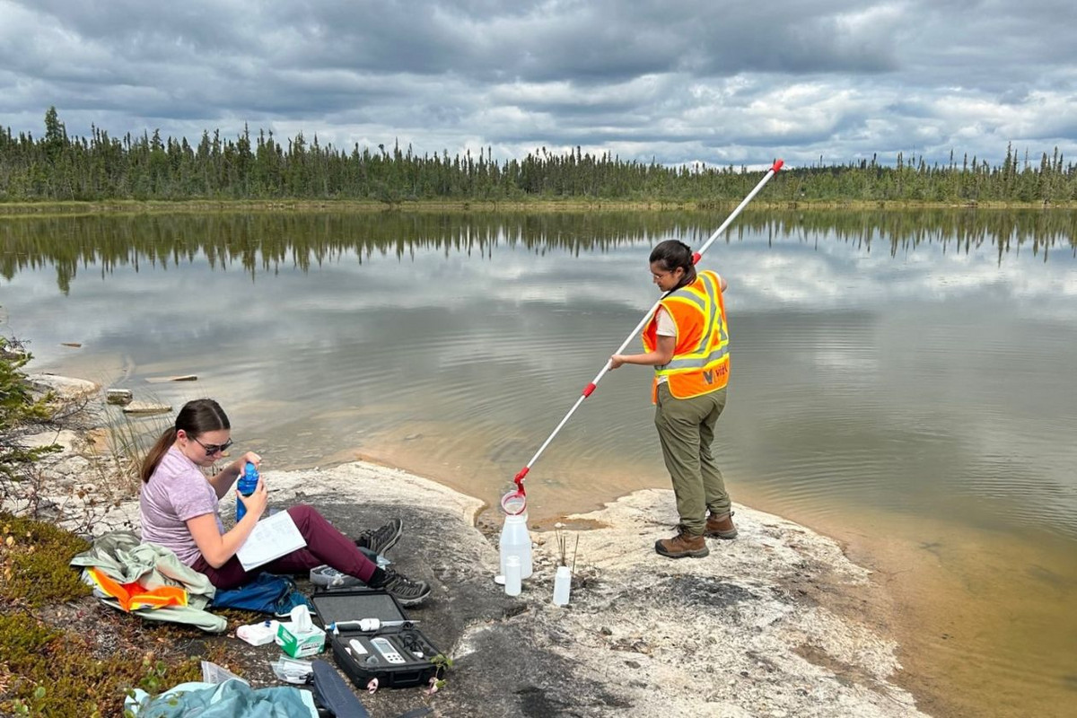 Investigating the environmental impact of rare-earth metals - UdeMnouvelles